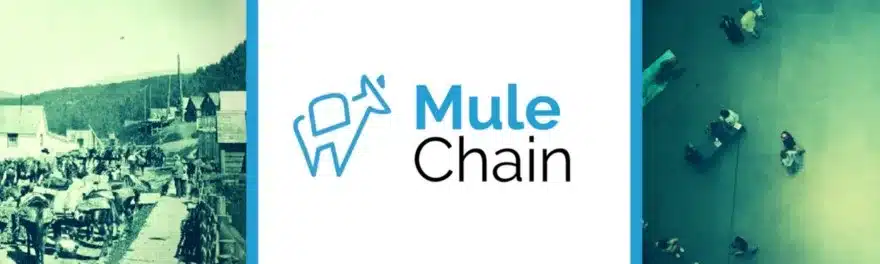 Christian Ellul has been chosen as an advisor for MuleChain | E&S Group